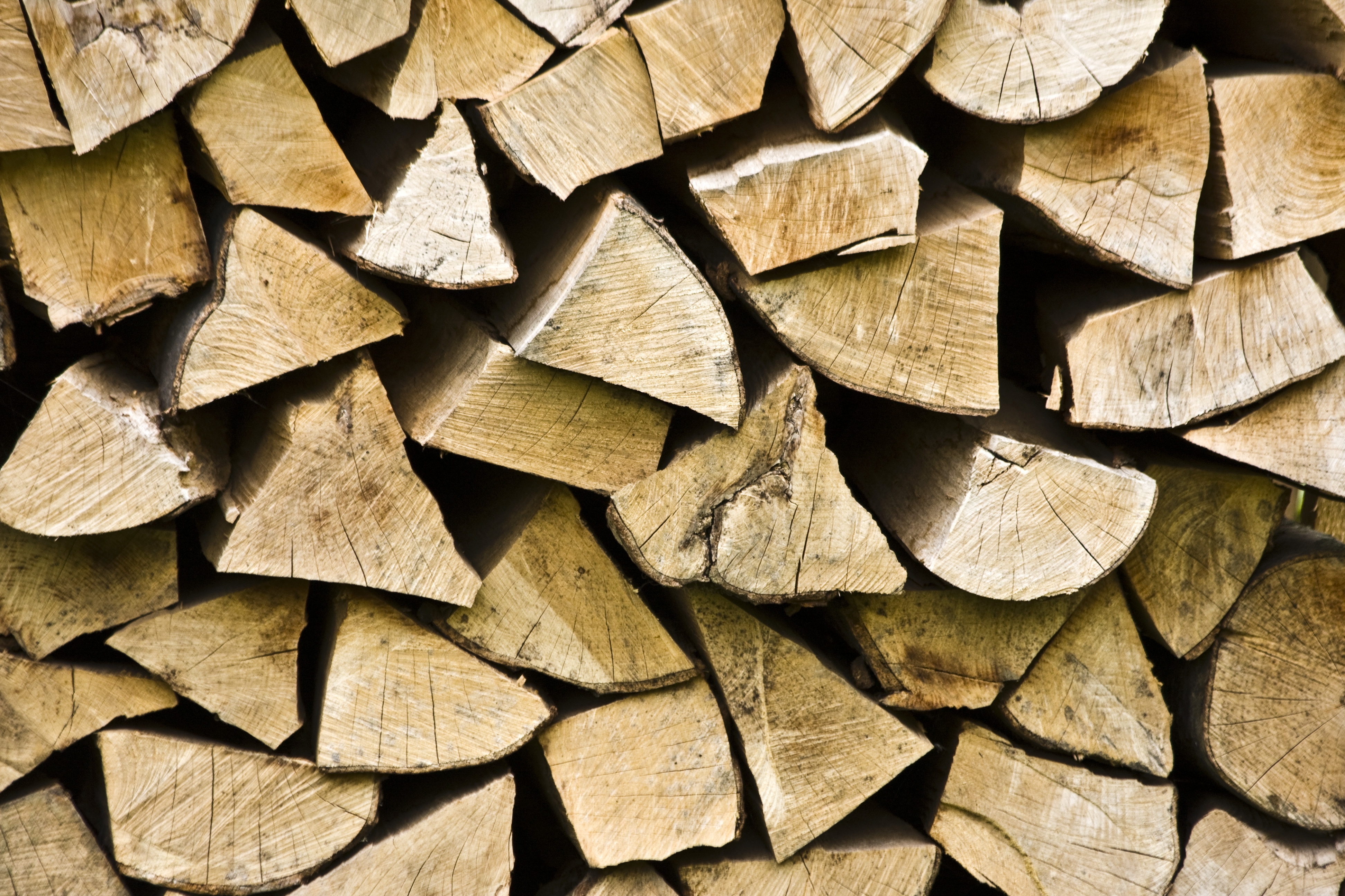 Quel bois choisir pour son poêle à bois ? Le guide pour un chauffage ...